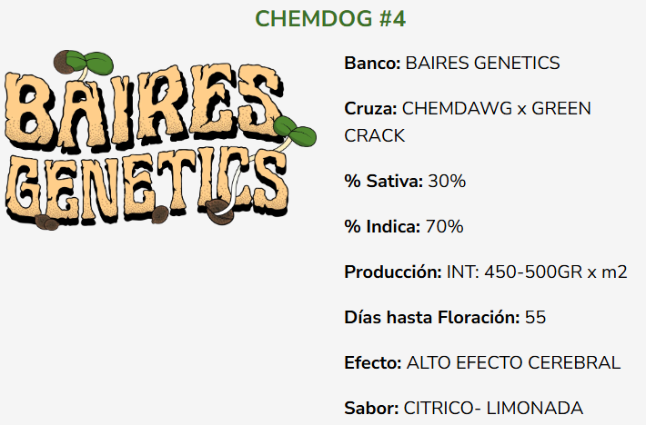 CHEMDOG x5 - Image 2