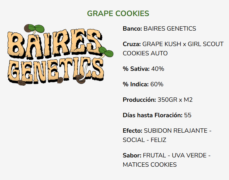 GRAPE COOKIES x5 auto - Image 2